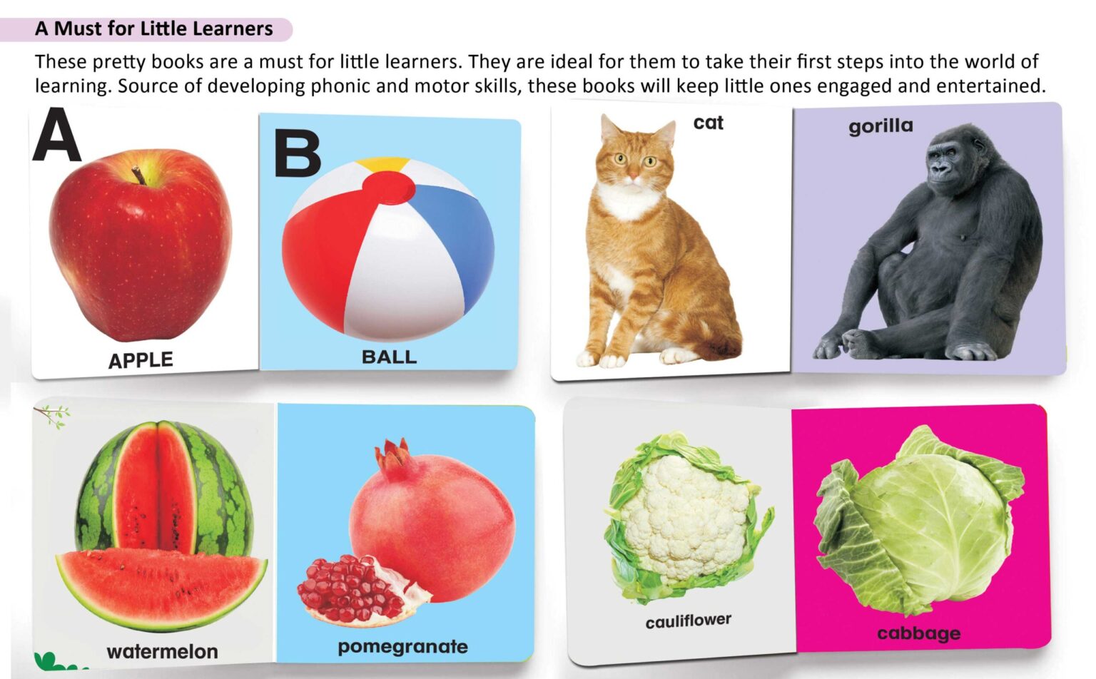 Transport - First Padded Board Book