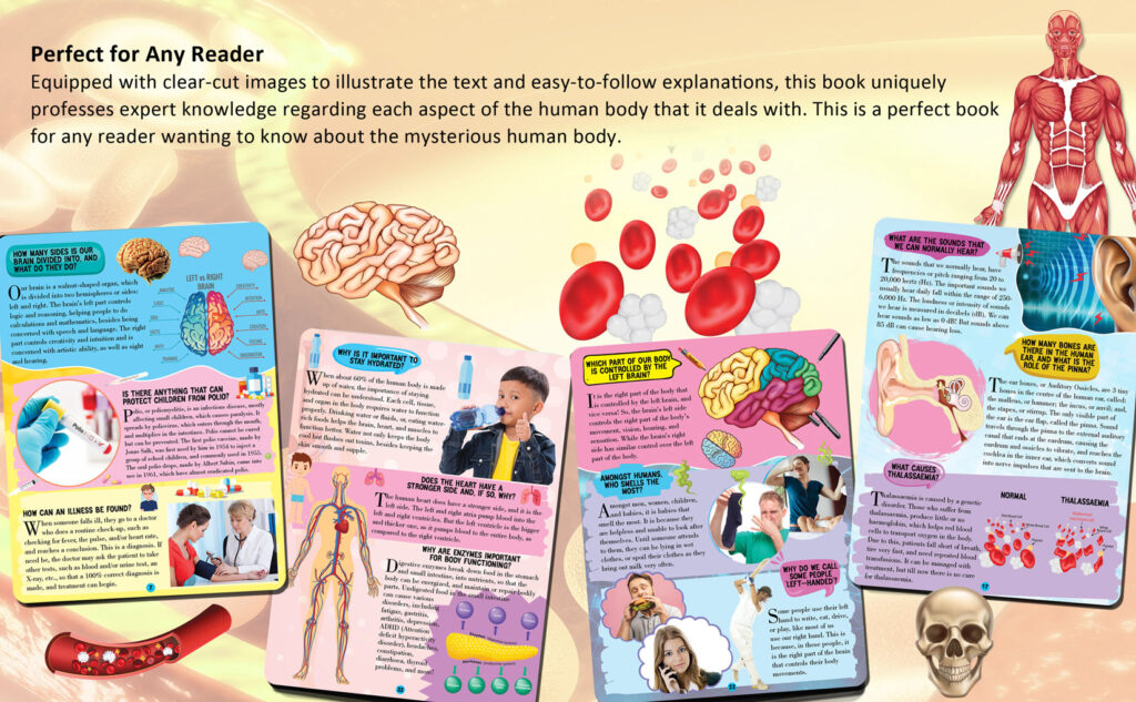 Human Body Encyclopedia - All About Trivia Questions and Answers