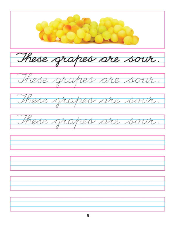 Sentences Book 5 - Cursive Writing