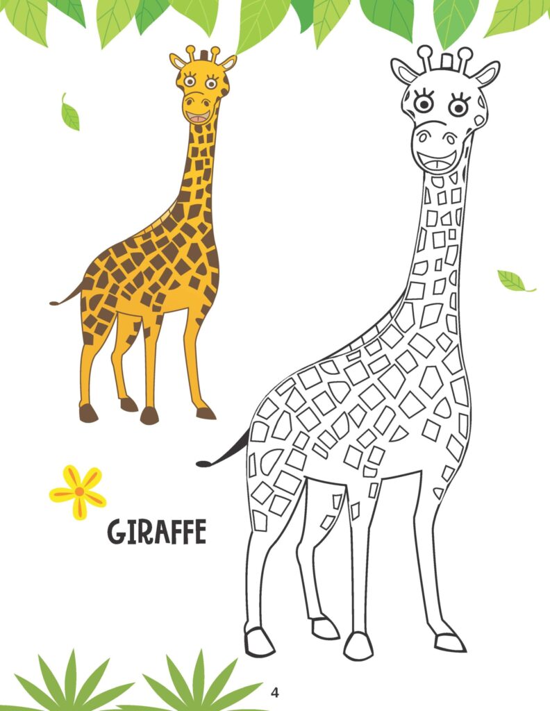 Animals - Creative Colouring Book