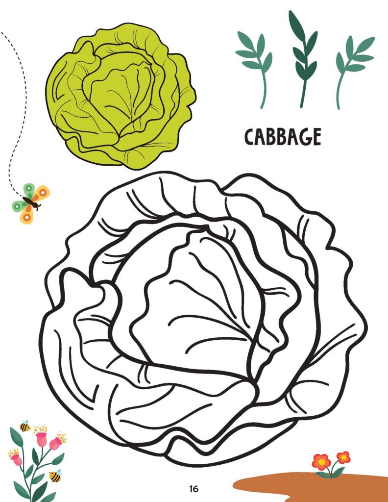 Vegetables - Creative Colouring Book