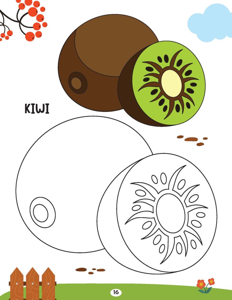 Fruits - Creative Colouring Book
