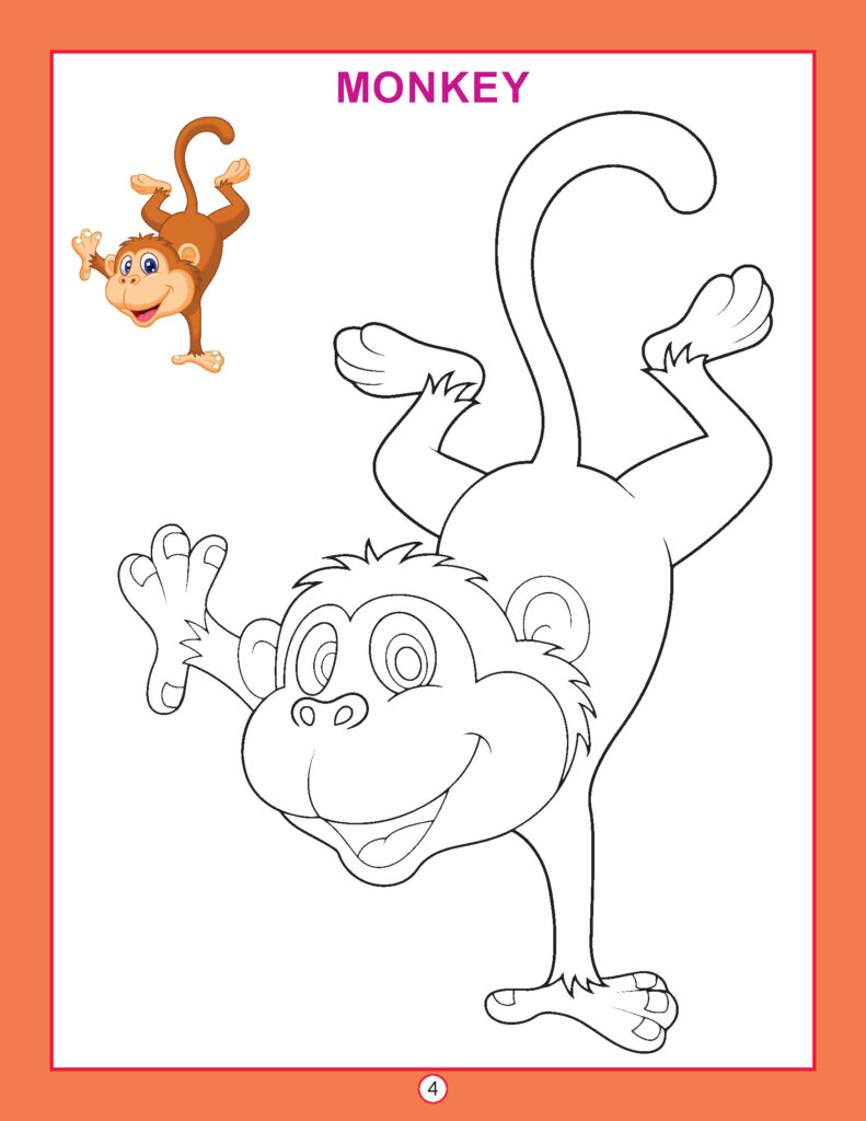 Animals - Copy Colour