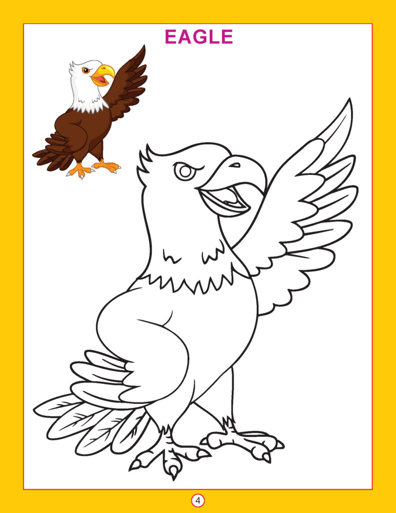 Birds - Copy Colour
