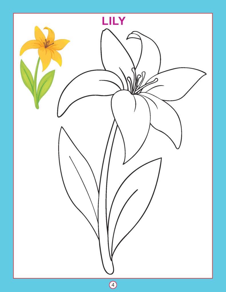 Flowers - Copy Colour