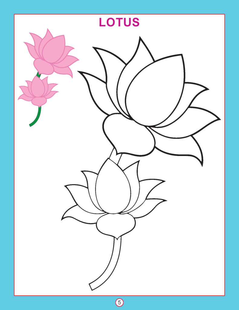 Flowers - Copy Colour