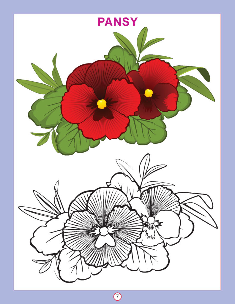 Flowers - Copy Colour