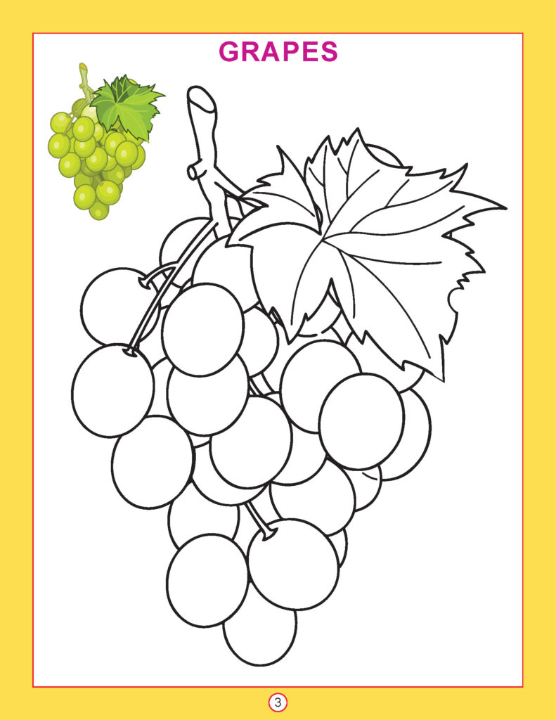 Copy Colour - Fruits