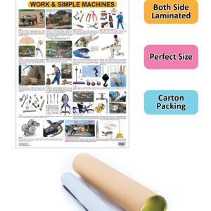 Work & Simple Machines