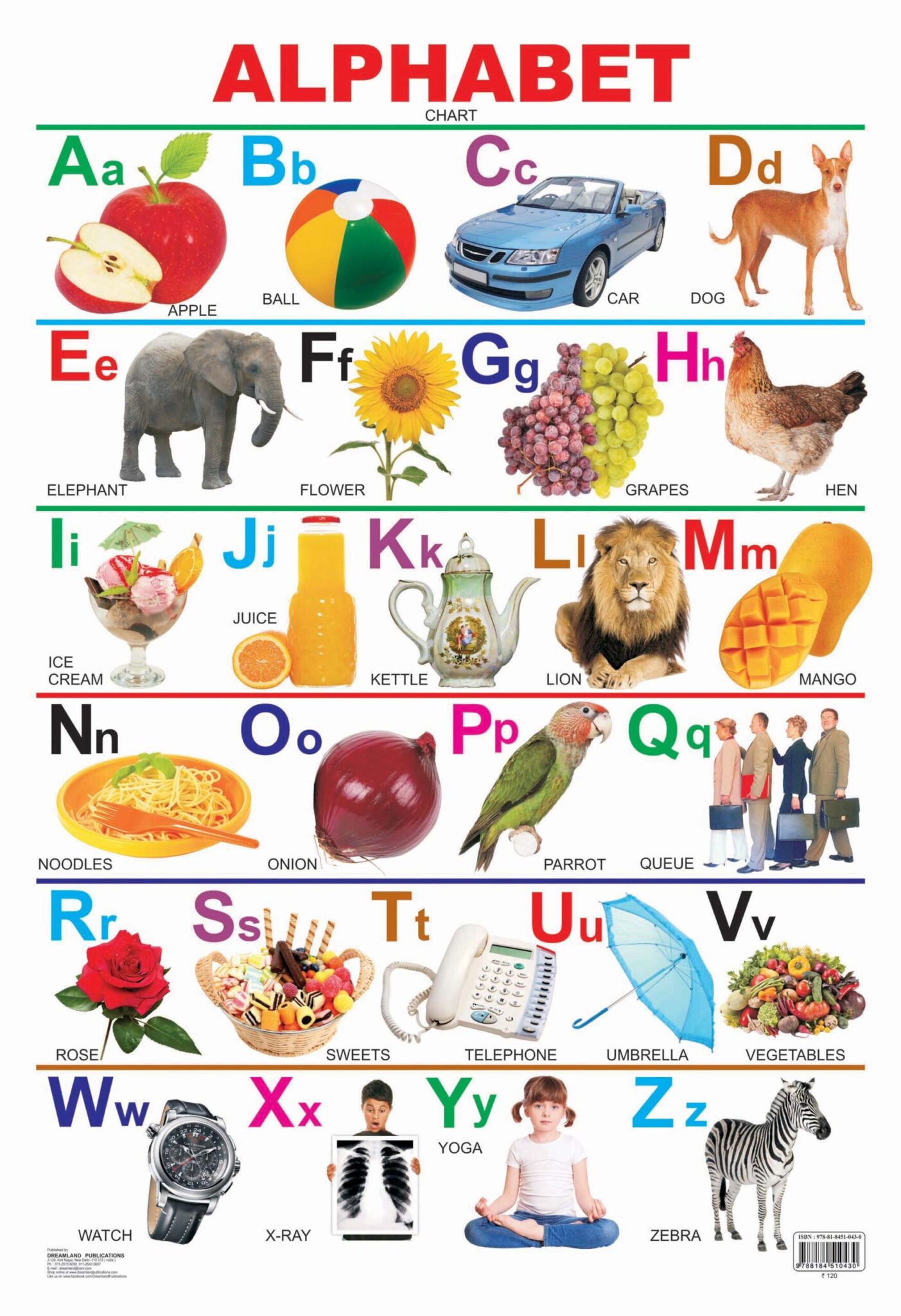 Primary School Educational Charts For Kids | Best Poster for Kids Education