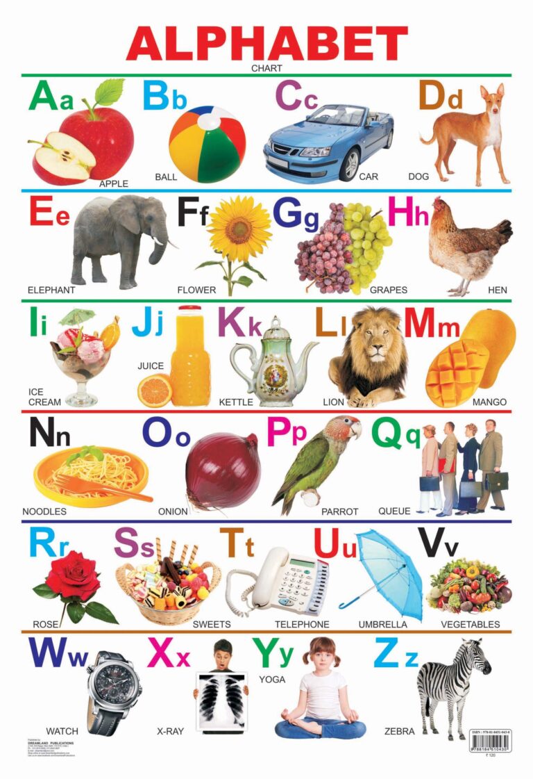 Primary School Educational Charts For Kids | Best Poster for Kids Education
