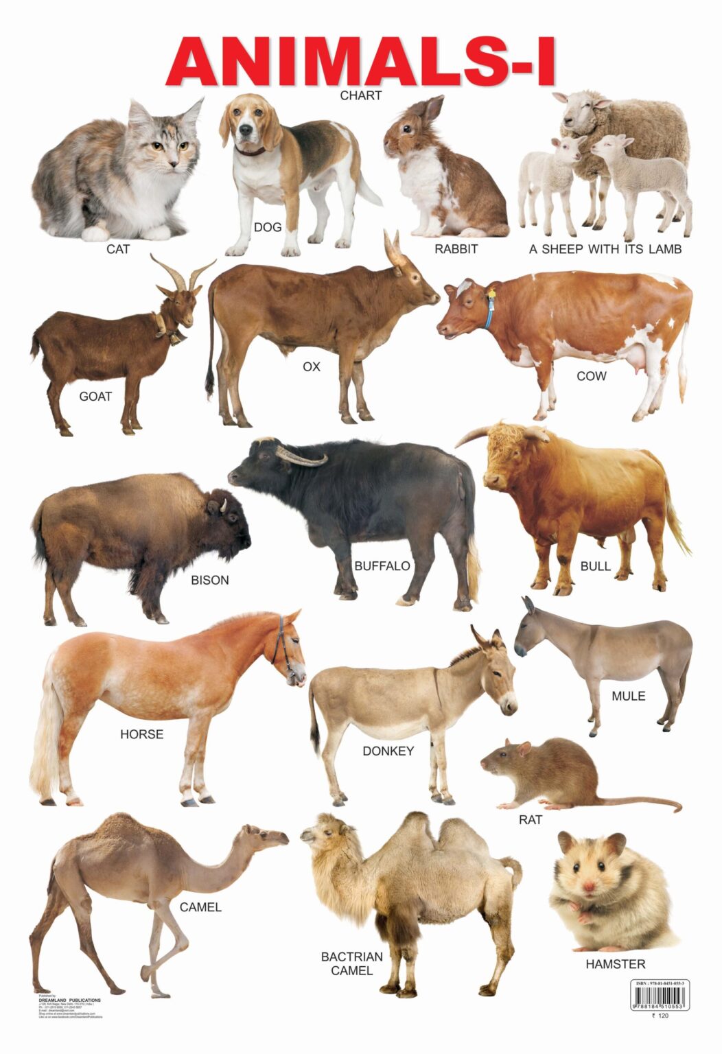 Primary School Educational Charts For Kids | Best Poster for Kids Education