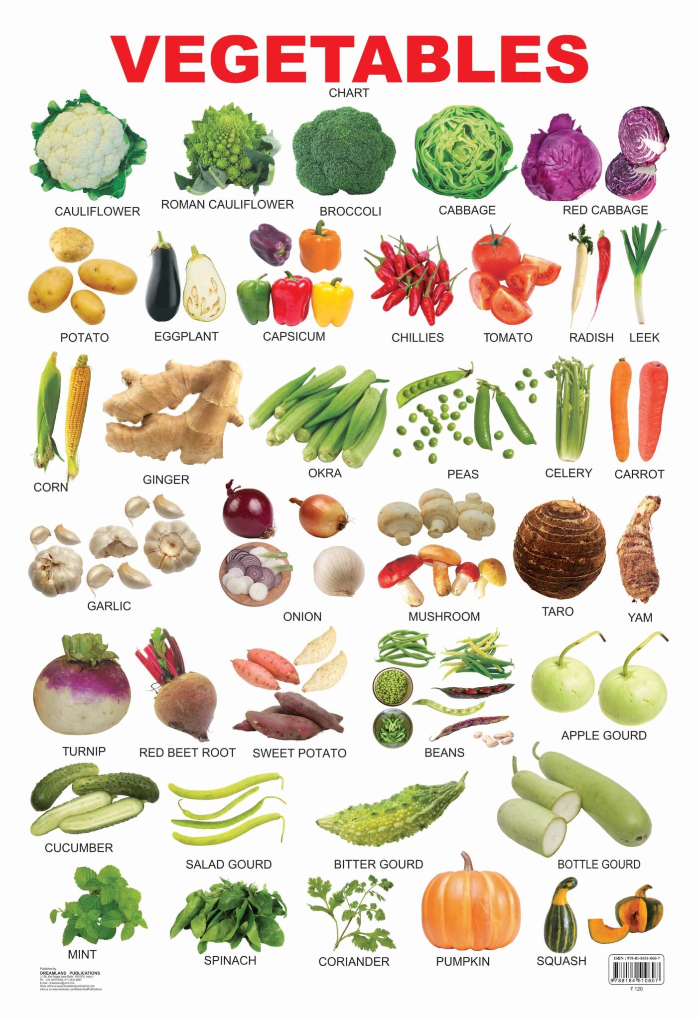 Primary School Educational Charts For Kids | Best Poster for Kids Education
