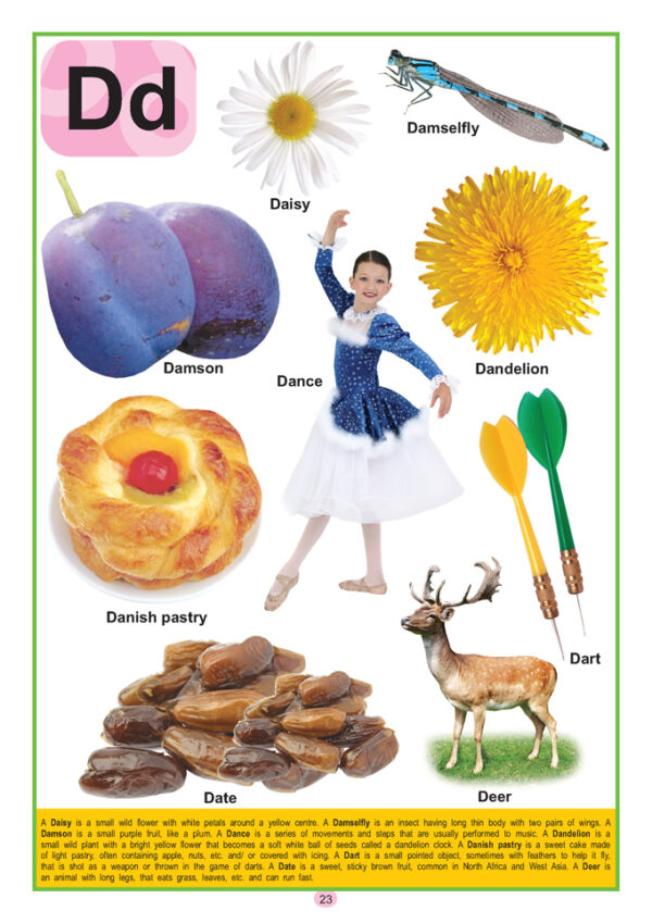 Kids Dictionary 1000 Words