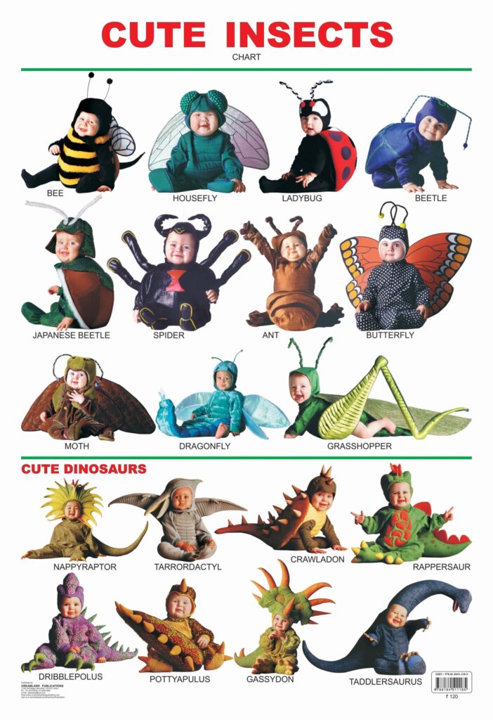 Cute Insects