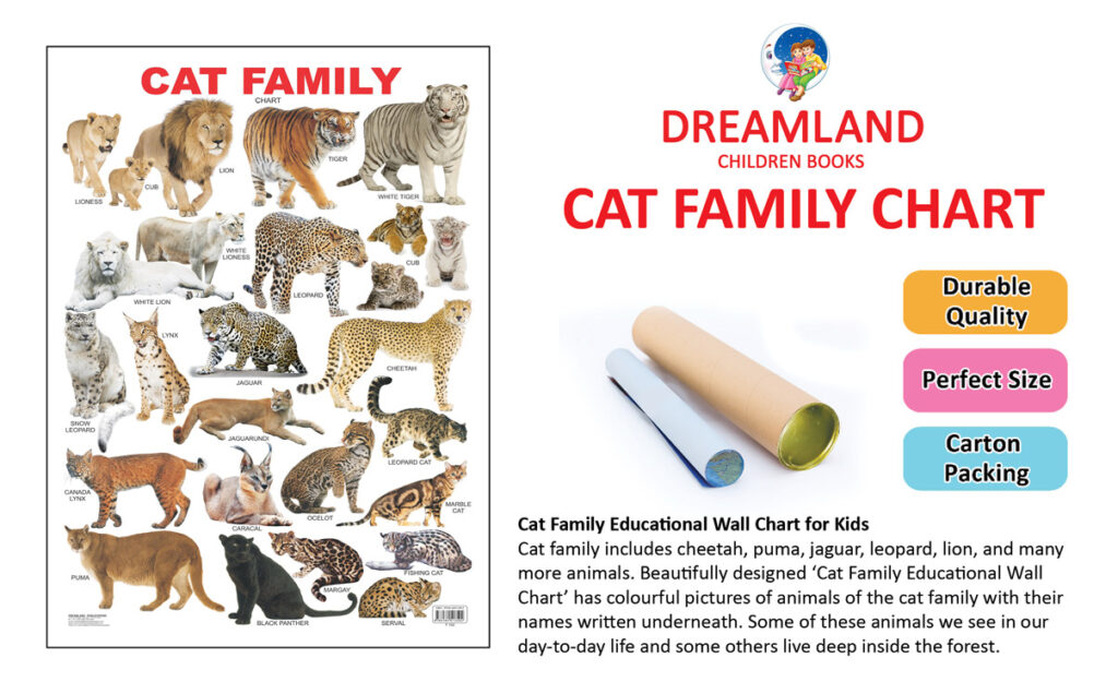Cat Family Chart