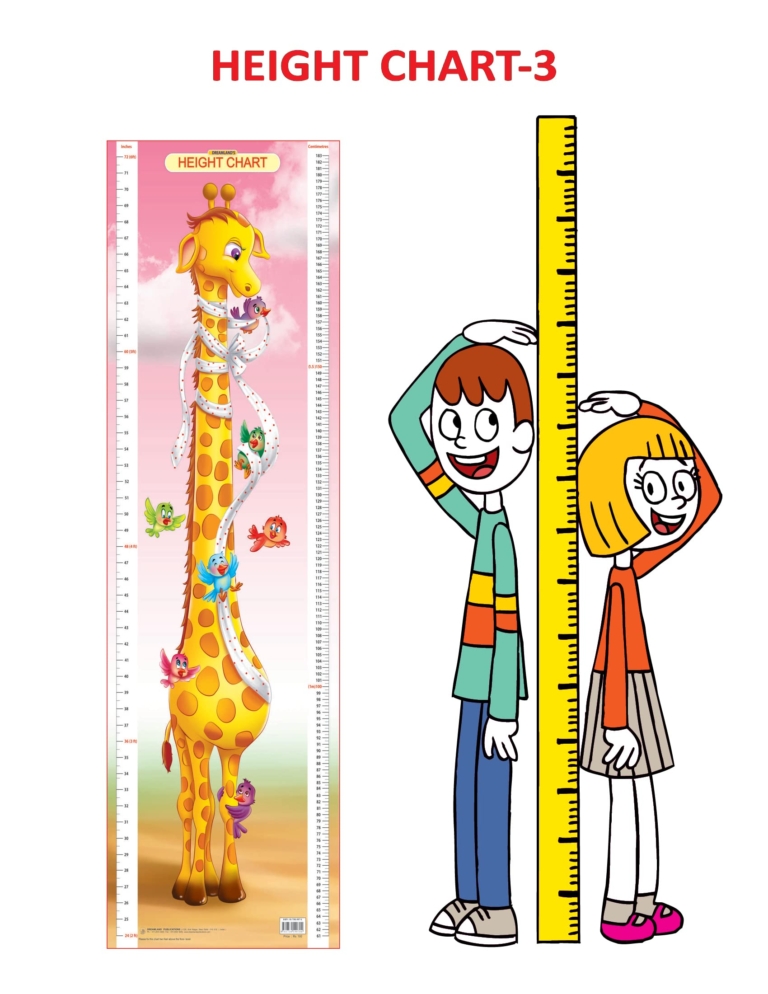 Height Chart - 3