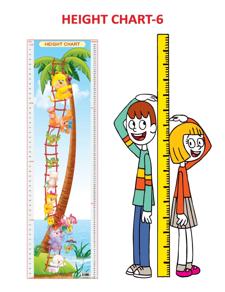Height Chart - 6