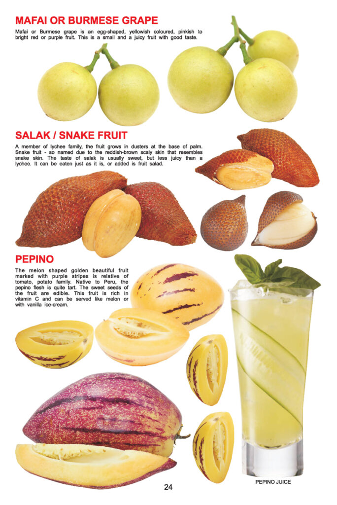 Fruit - My Jumbo Book