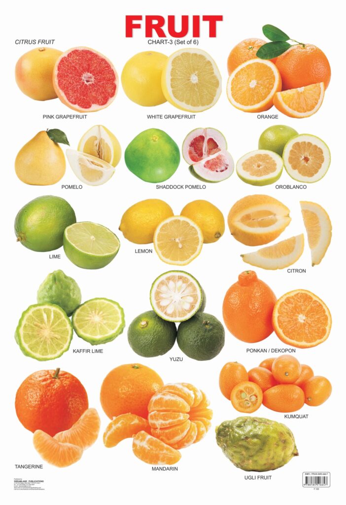 Fruit Chart - 4