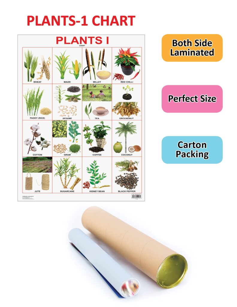 Plants Chart