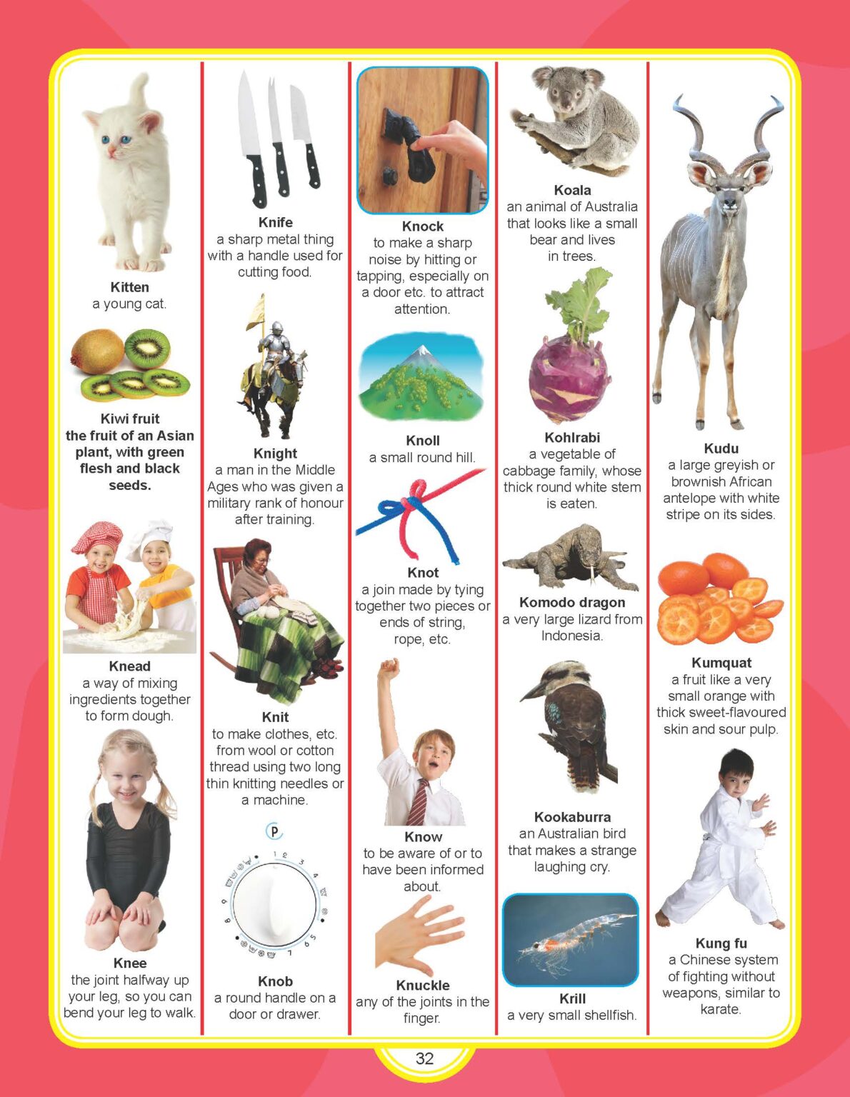 Junior Picture Dictionary