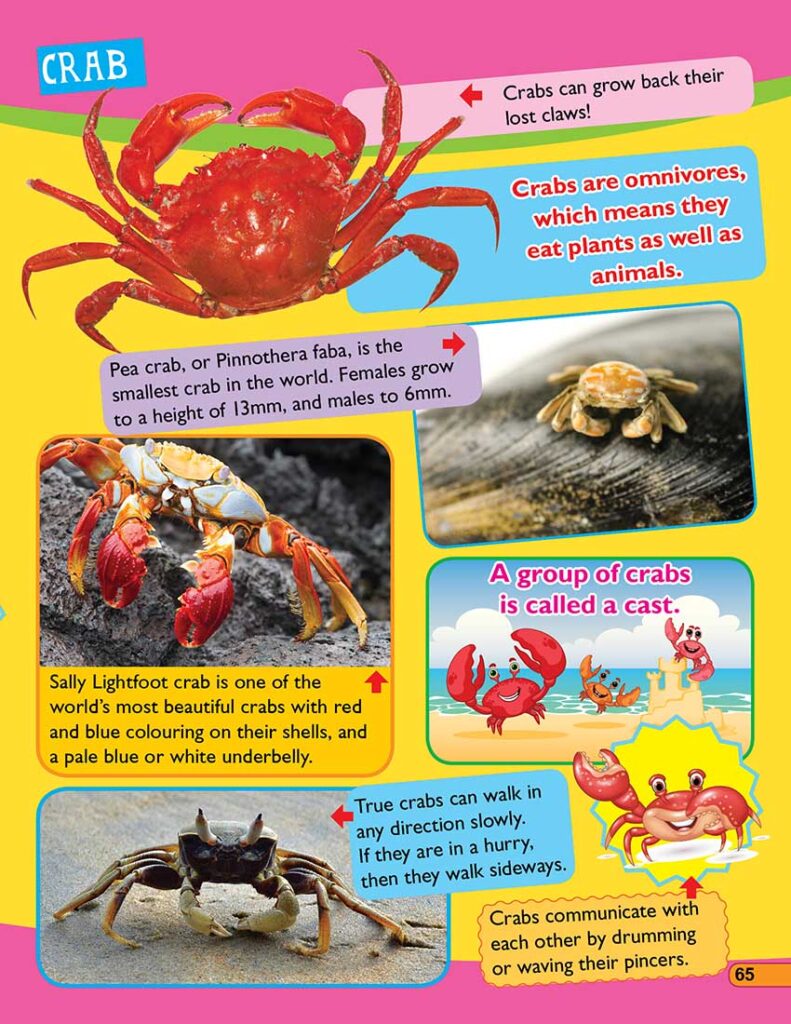 365 Facts - 3 Books Pack