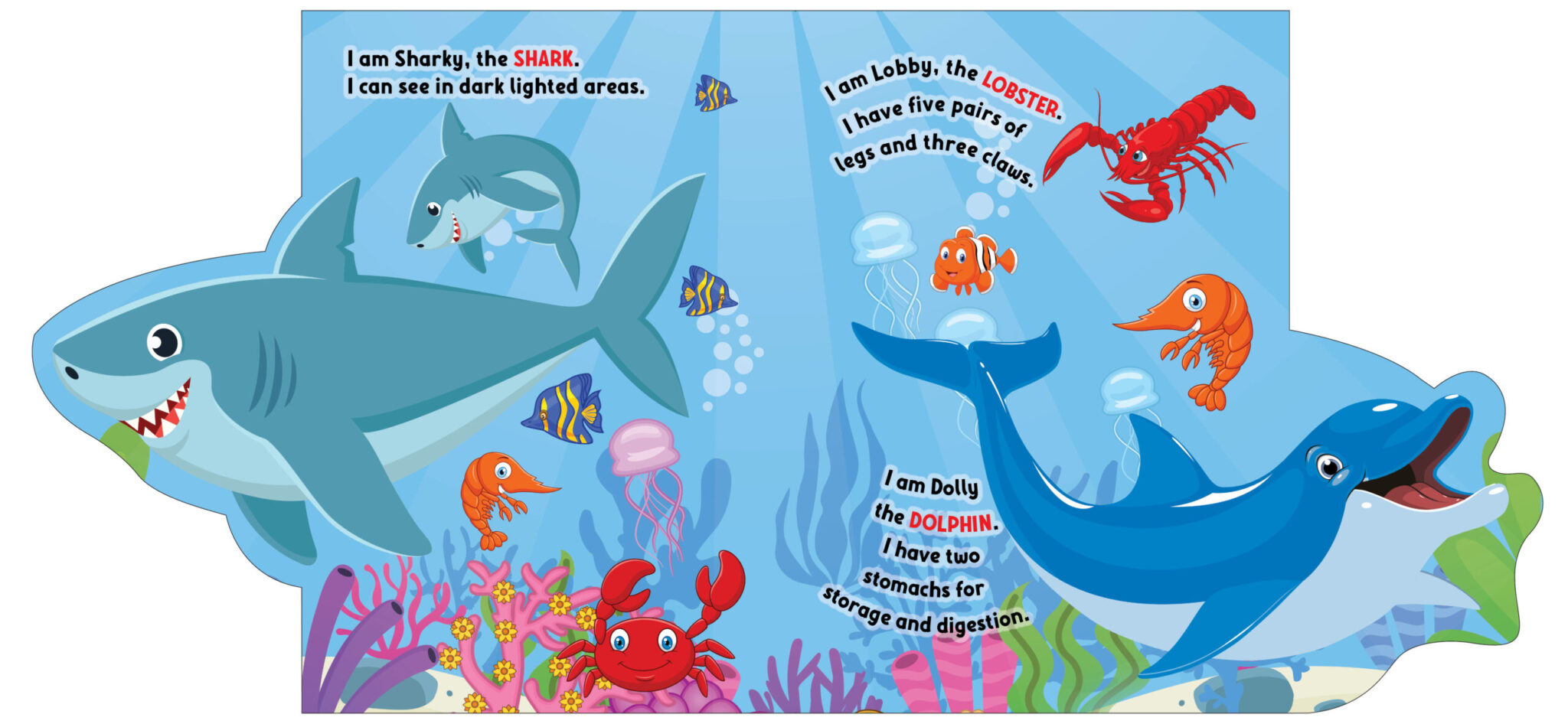 Under the Ocean - Flap Book