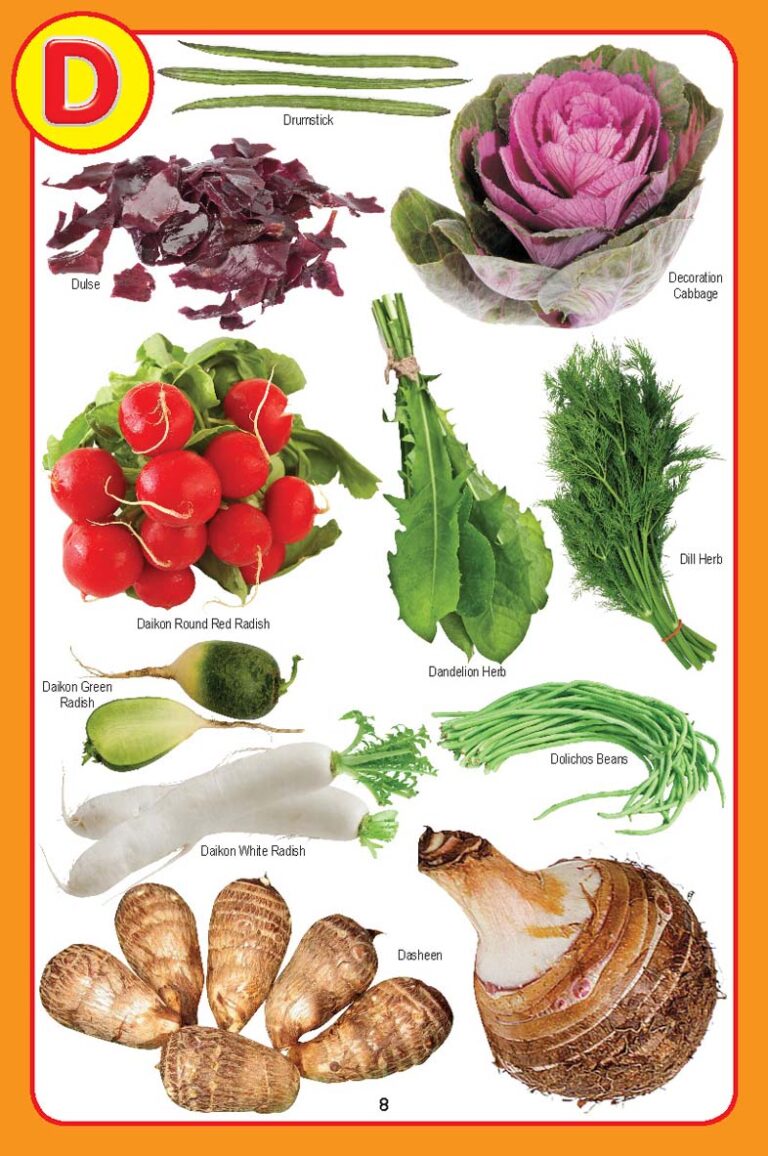 My Jumbo Vegetables Pictionary