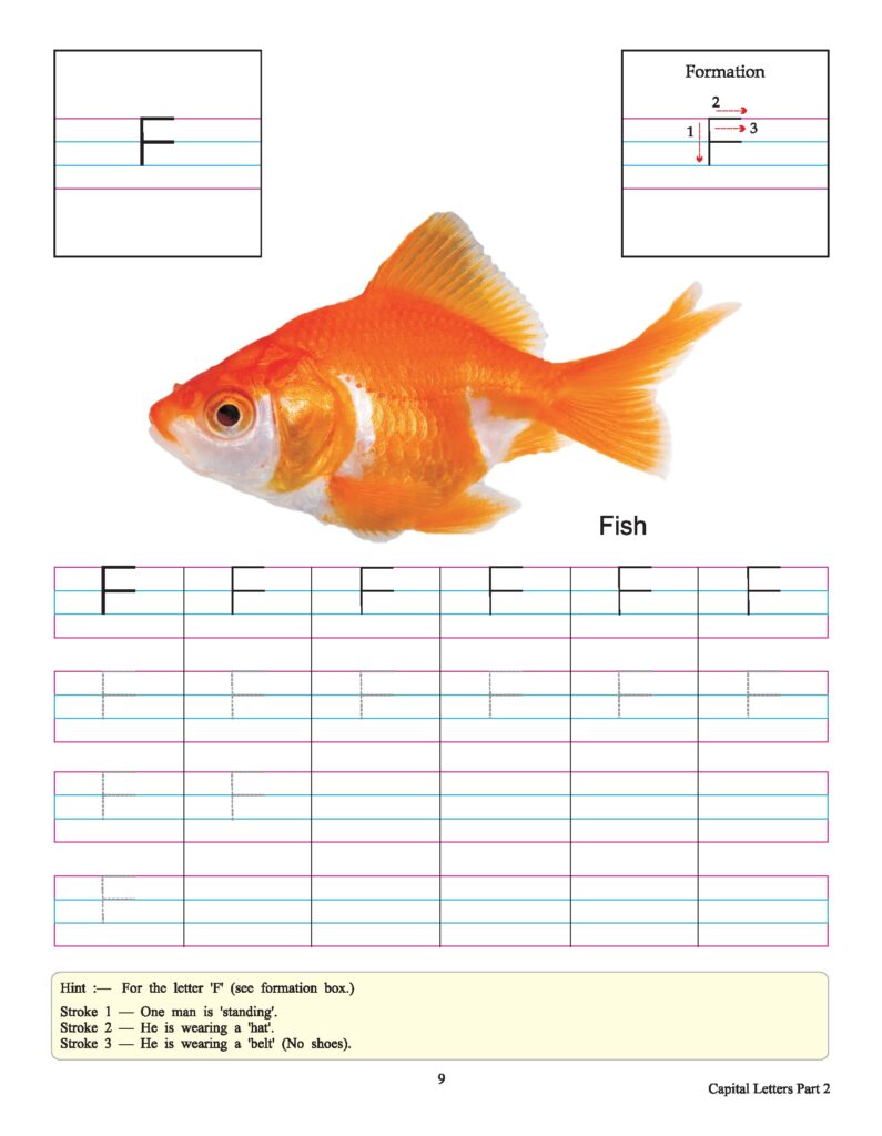Capital Letters - Lines and Curves