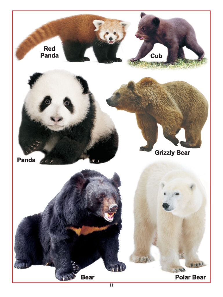 Baby First Pre School - 8 Books Pack