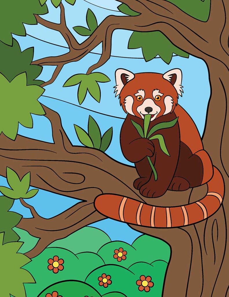 My Best Colouring Book - 5