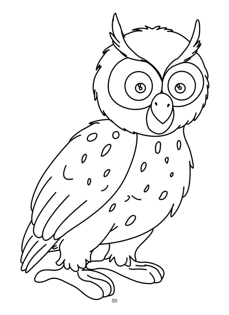 365 Colouring Book