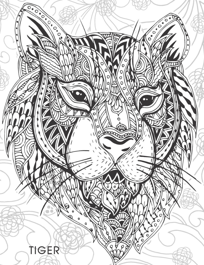 Animals & Birds - Creative Doodle Colouring