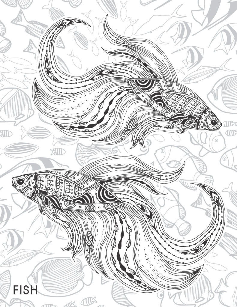 Animals & Birds - Creative Doodle Colouring