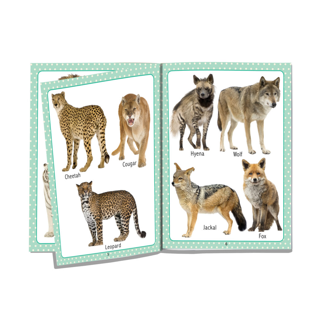 My First Early Learning - 10 Books Pack