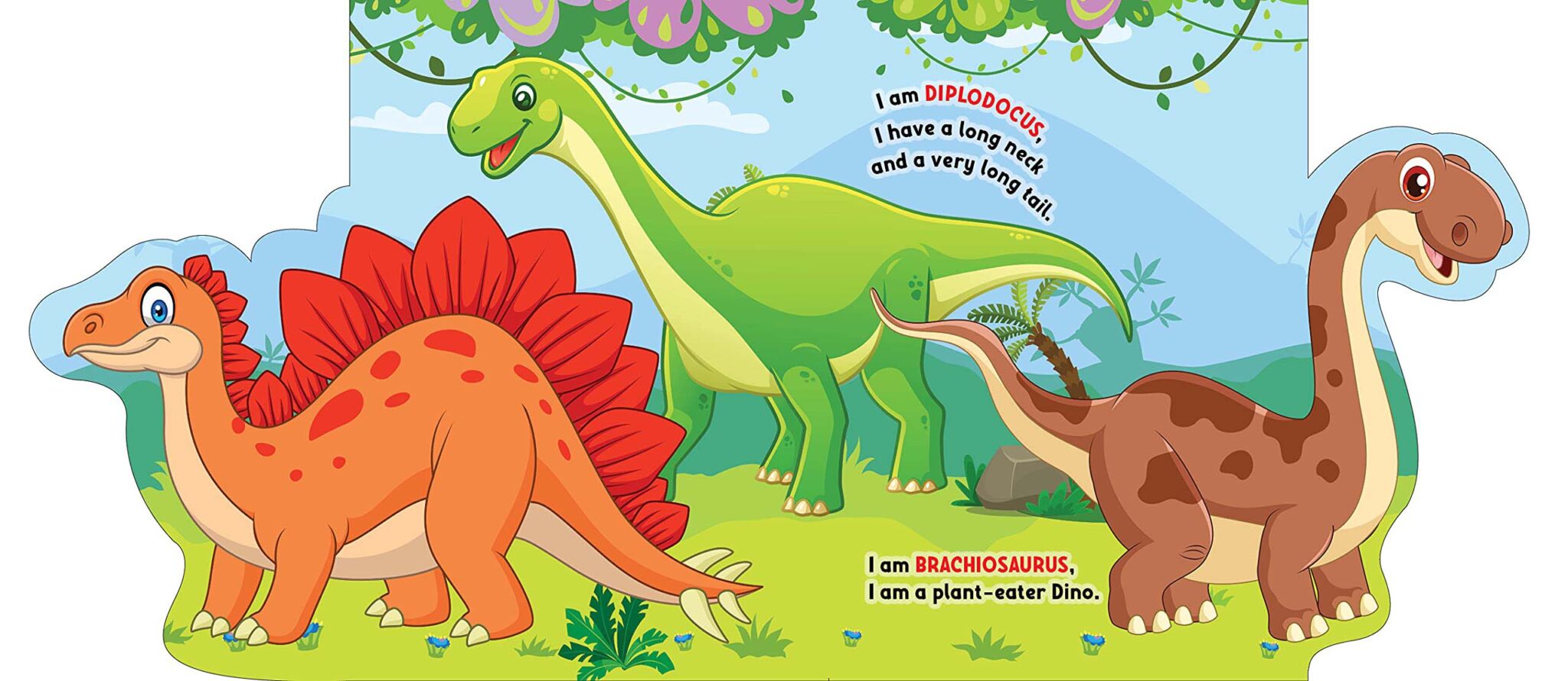 Flap Books - 4 Books Pack