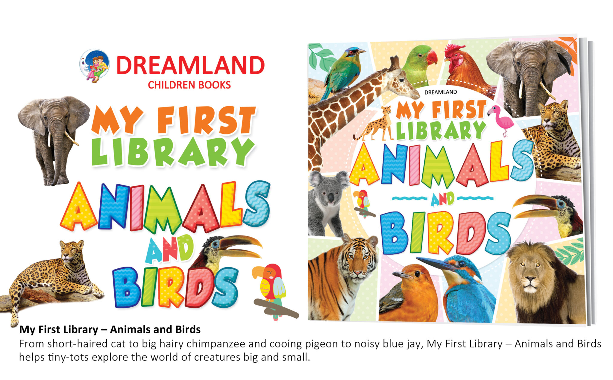Animals and Birds - My First Library