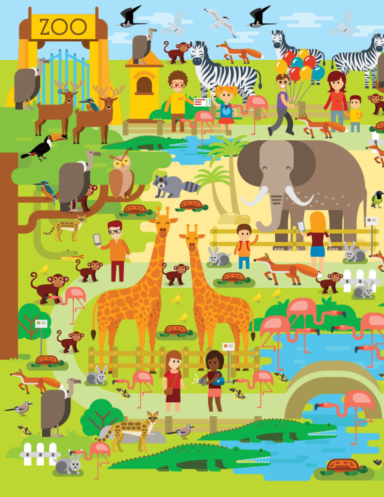 Animals - Look and Find