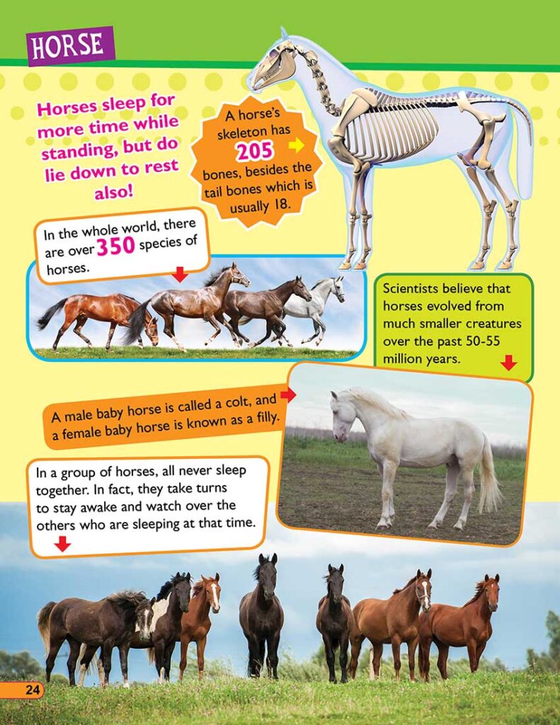 365 Facts on Animals and Birds