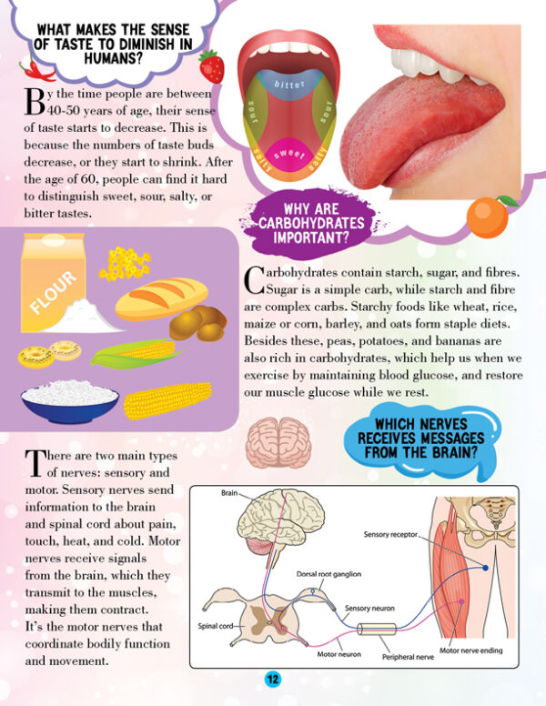 Human Body Encyclopedia - All About Trivia Questions and Answers