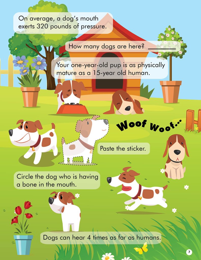Explore the Farm Activity Book with Stickers and 3D Models