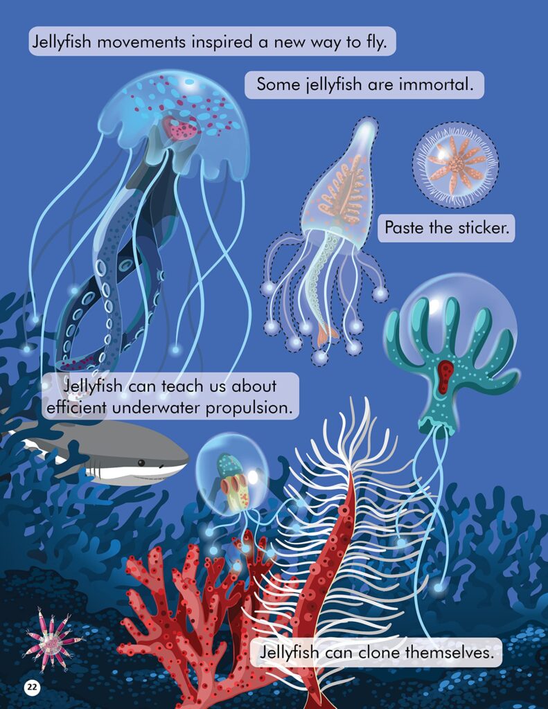 Explore the Sea Activity Book with Stickers and 3D Models