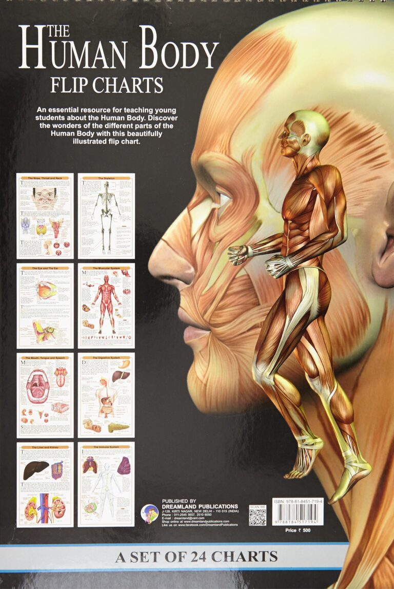 The Human Body Flip Charts