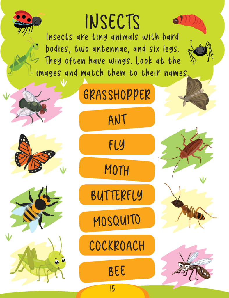 Science Activity Book Age 5+