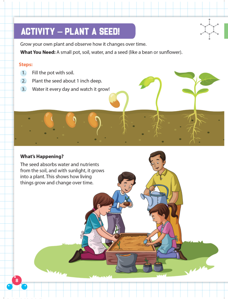 Everyday Wonders: Biology for Kids Age 6+ – Fun Facts and Exciting ...