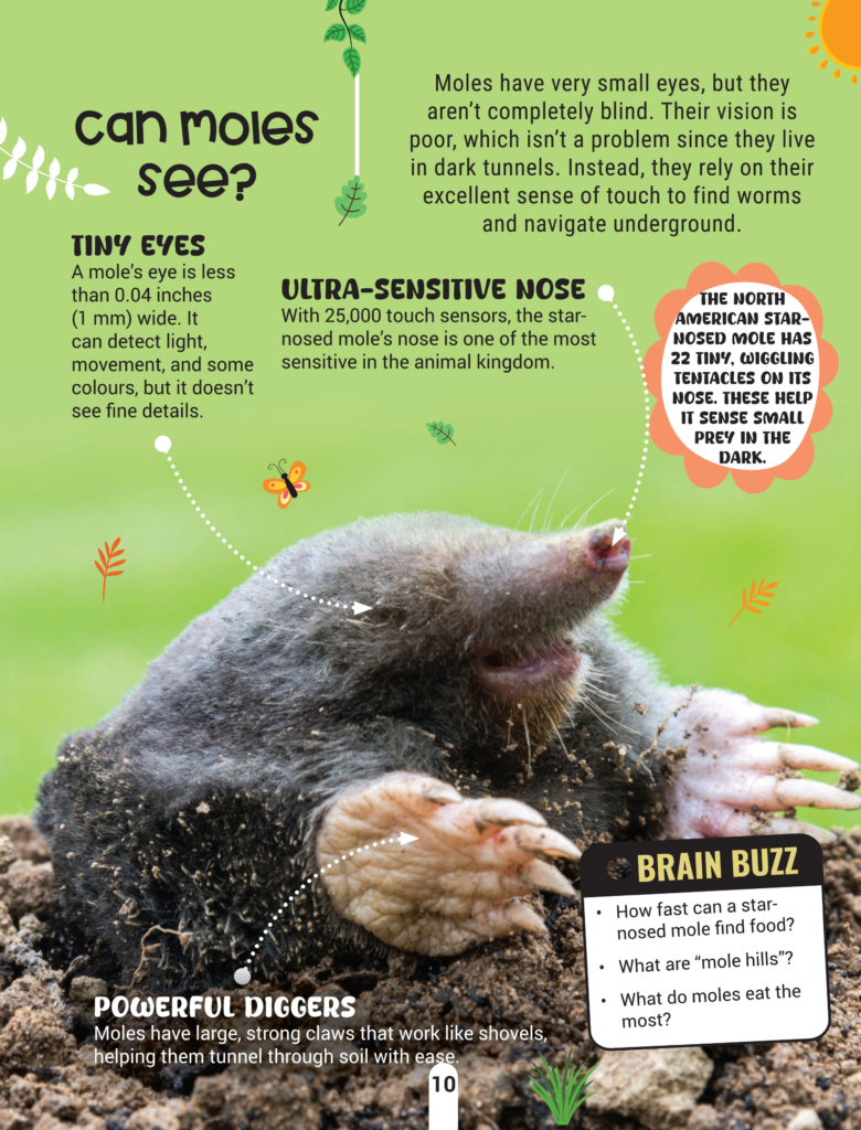 Factopedia Wild Wonders: A Fun Fact Book About Wildlife, Nature ...