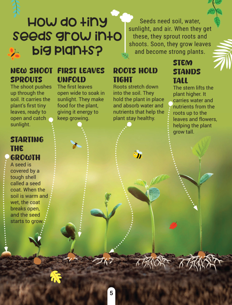 Factopedia Science Scoop: Incredible Science Facts for Kids Age 6+